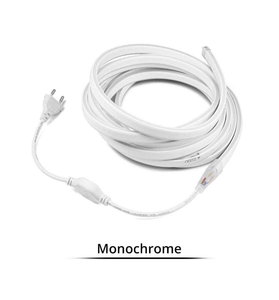 LED Neon Strip Light 220V with Controller - 123 LED Lighting